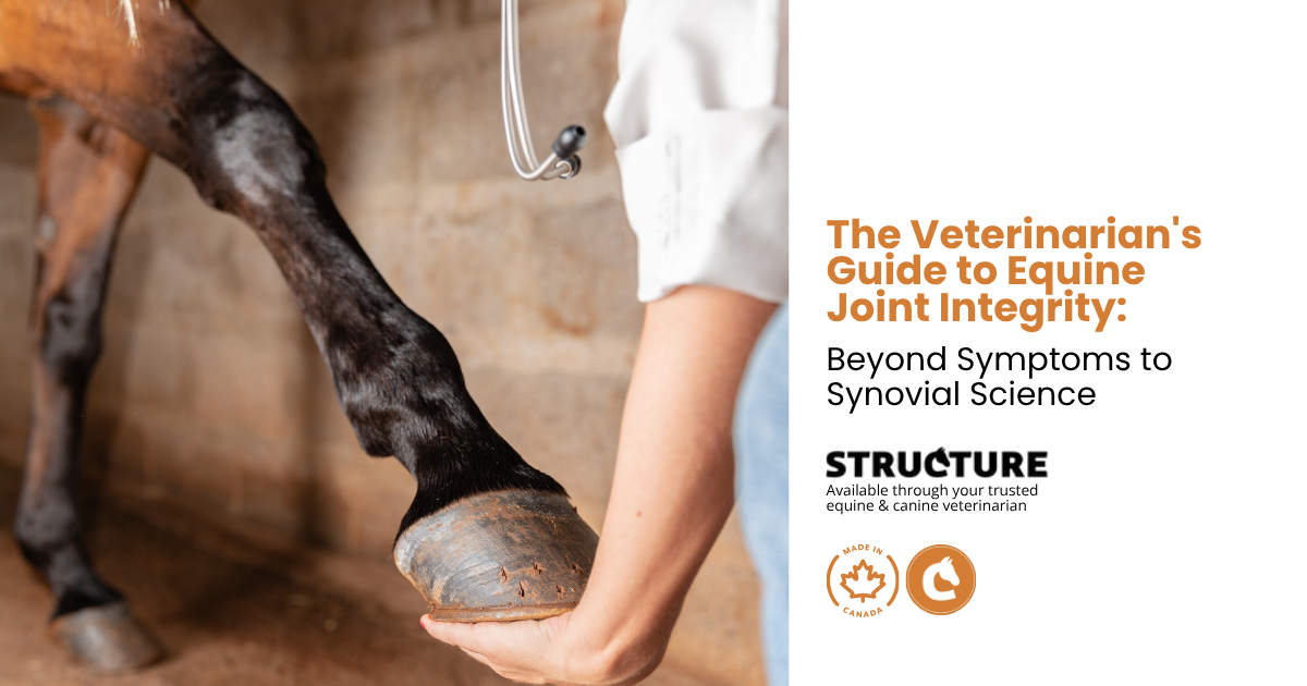 The Veterinarian's Guide to Equine Joint Health & Integrity – Structure